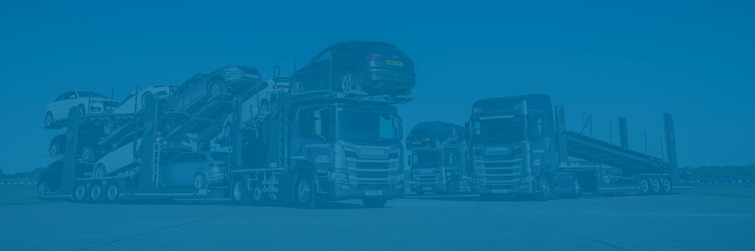 News/Insight - Movex